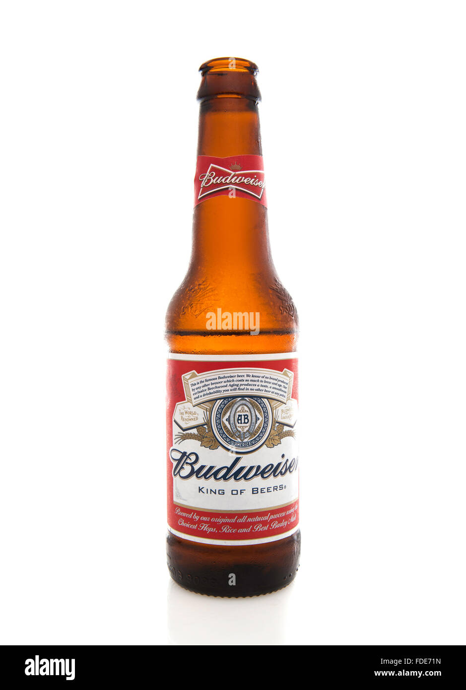 Budweiser beer bottle hi-res stock photography and images - Alamy