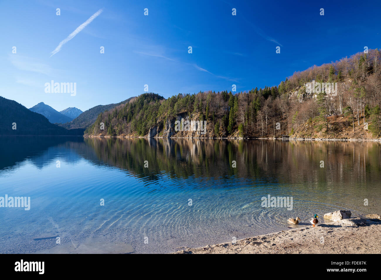 Alpsee hi-res stock photography and images - Alamy