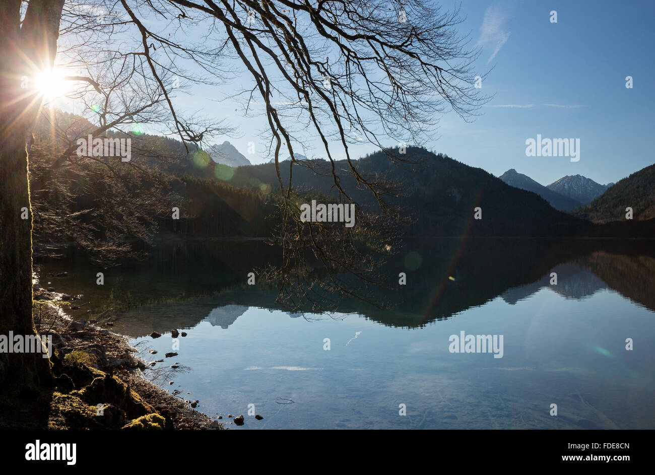 Alpsee near Füssen, Bavaria, Germany Stock Photo - Alamy