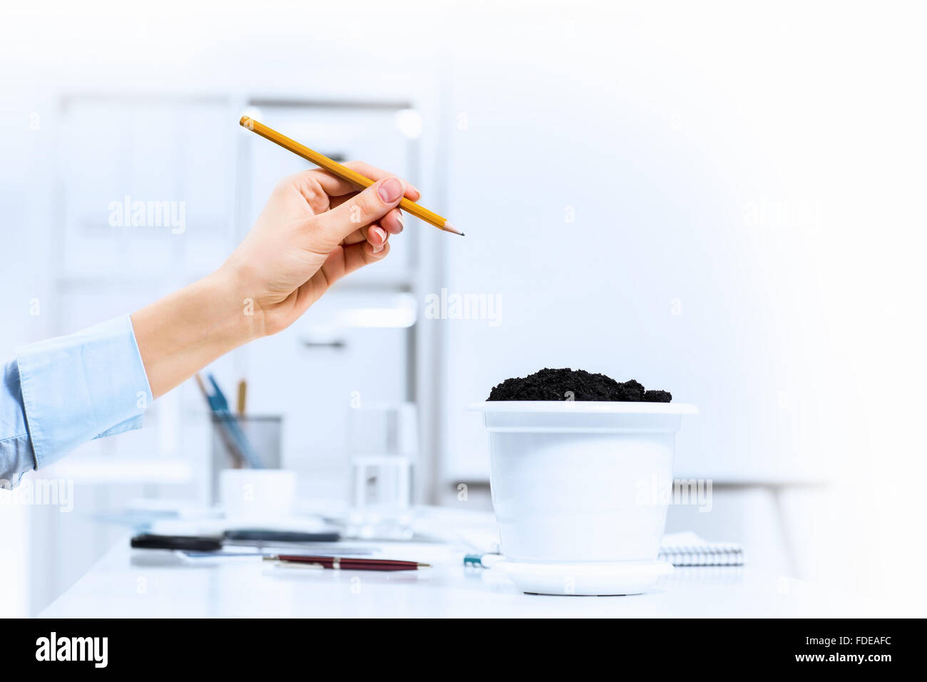 Close-up image of human hand and pot with money tree Stock Photo - Alamy