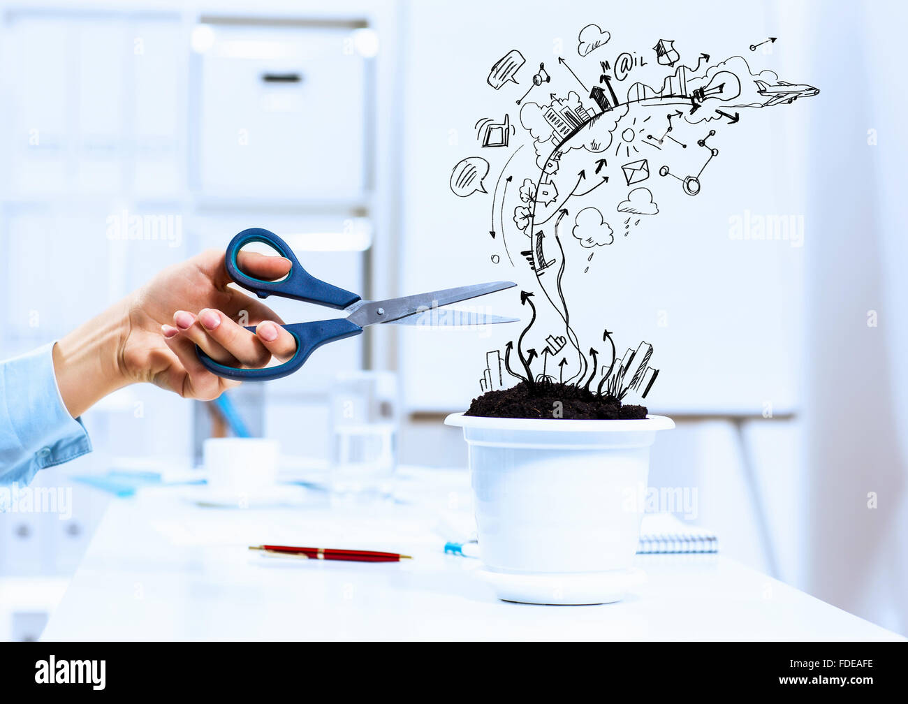 Close-up image of human hand and pot with money tree Stock Photo - Alamy