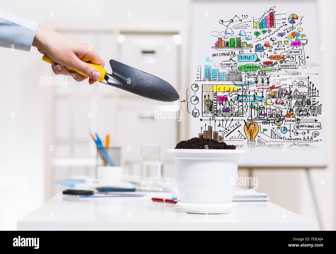 Close-up image of human hand and pot with money tree Stock Photo - Alamy