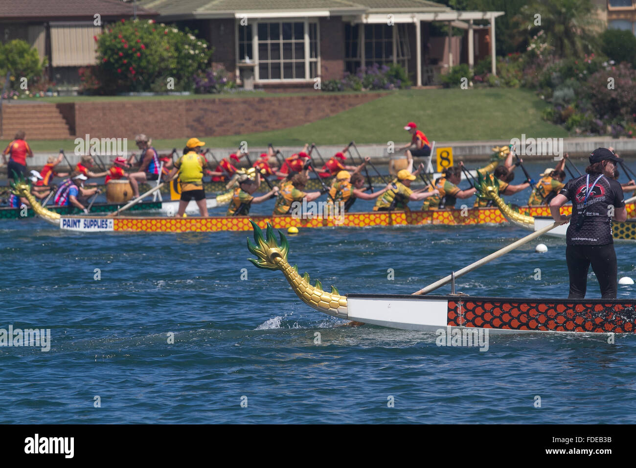 Australian dragon boat hi-res stock photography and images - Alamy