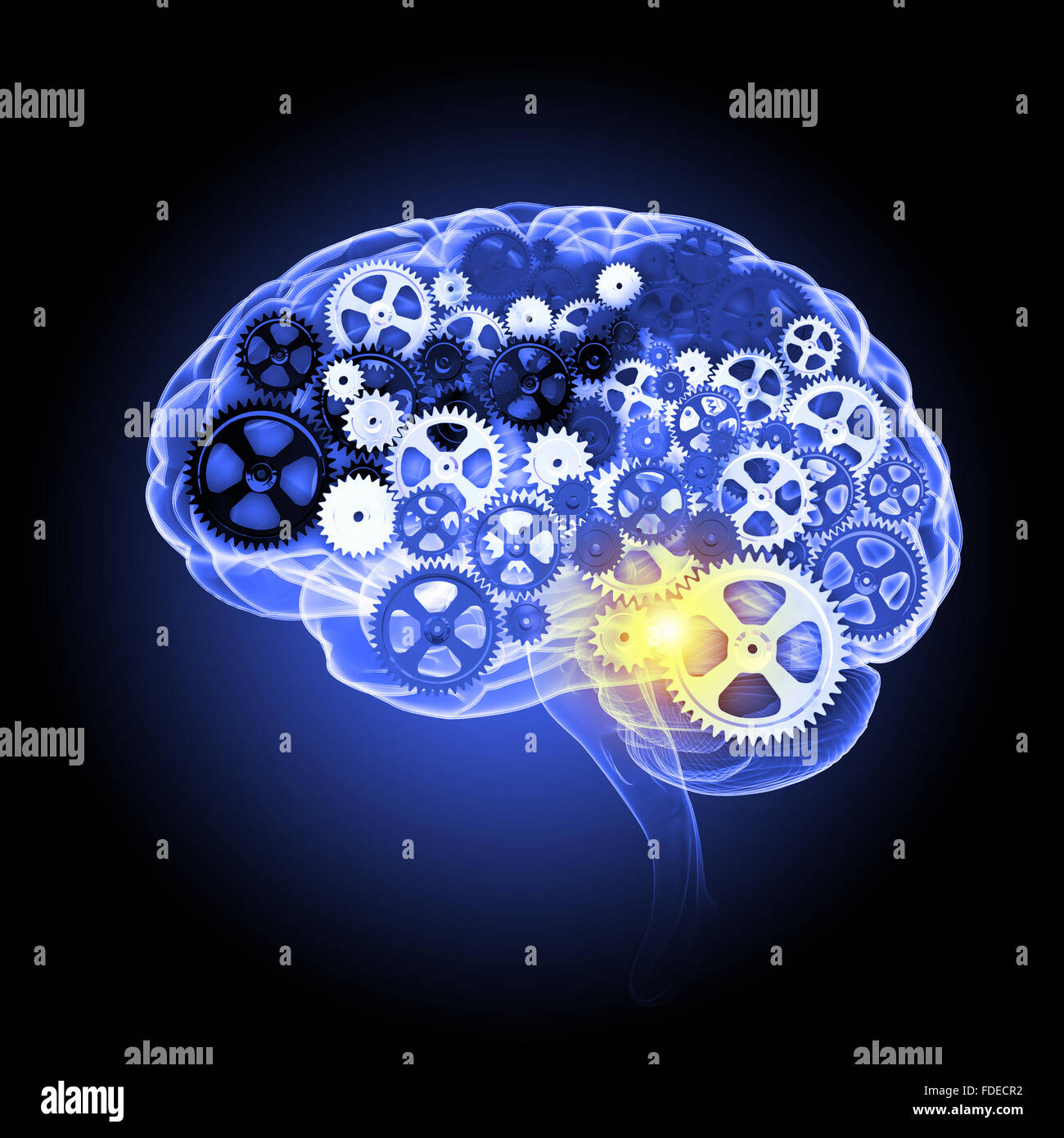 Human brain mechanisms hi-res stock photography and images - Alamy
