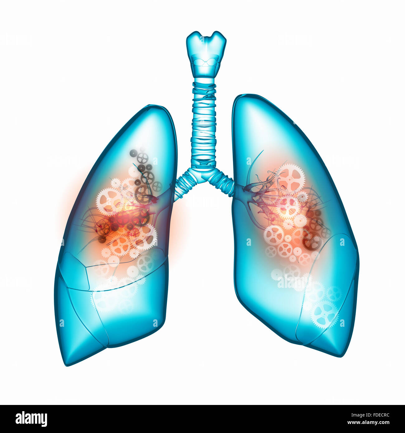 Illustration of human lungs with cog wheel mechanisms Stock Photo - Alamy