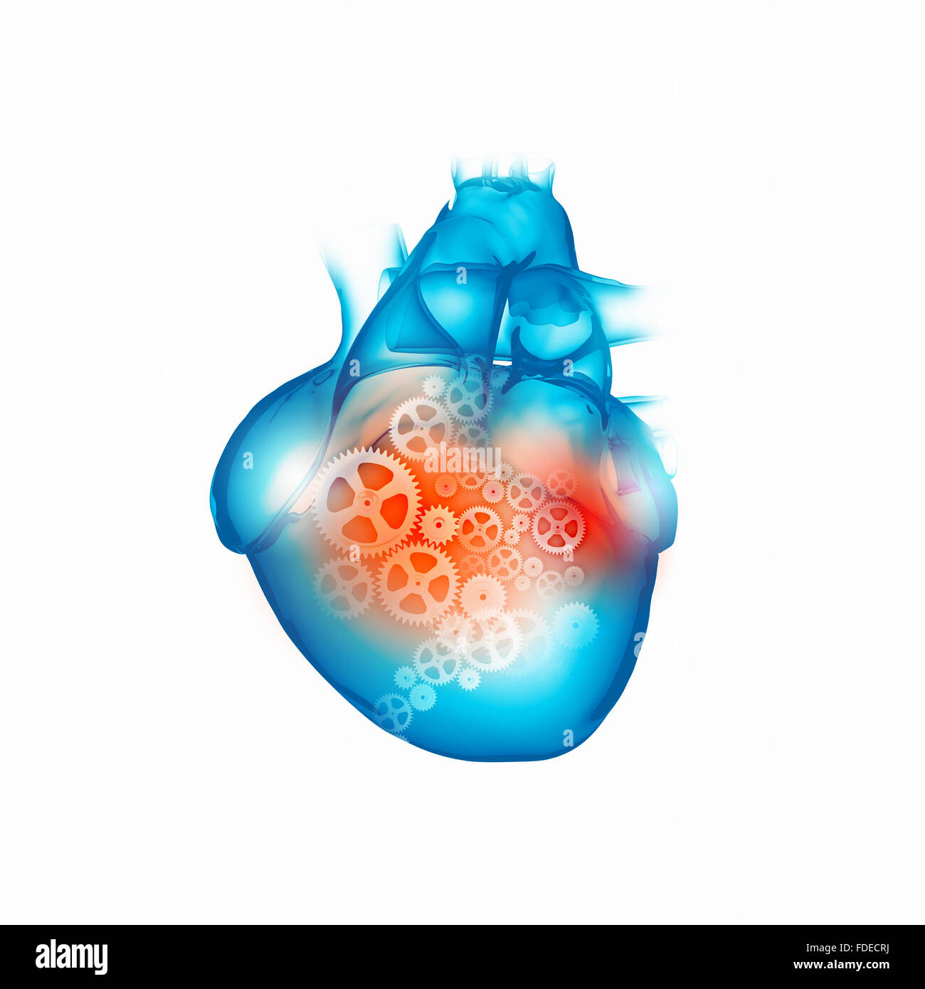 Human heart with cog and gear mechanisms against white background Stock ...