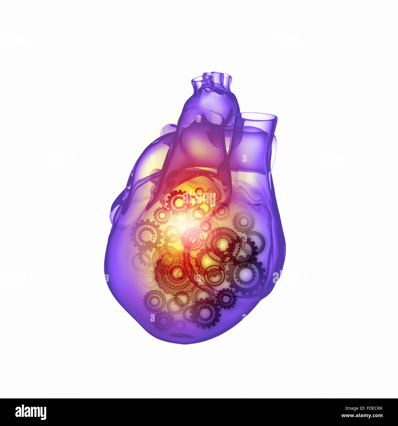 Human heart with cog and gear mechanisms against white background Stock ...