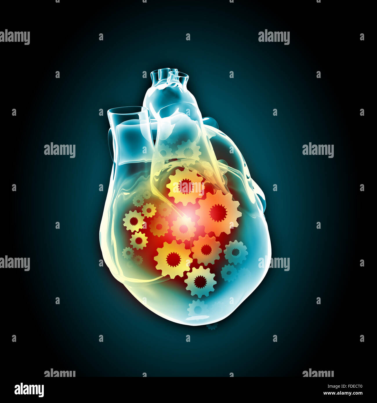 Human heart with cog and gear mechanisms against black background Stock ...
