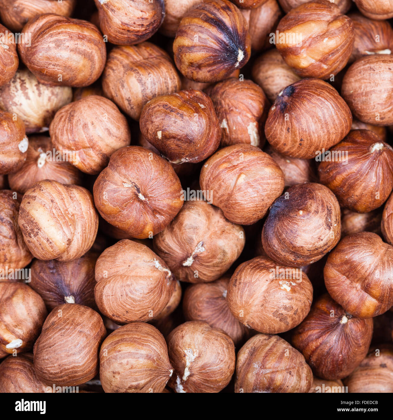 square food background - many dried uncooked hazelnuts Stock Photo - Alamy