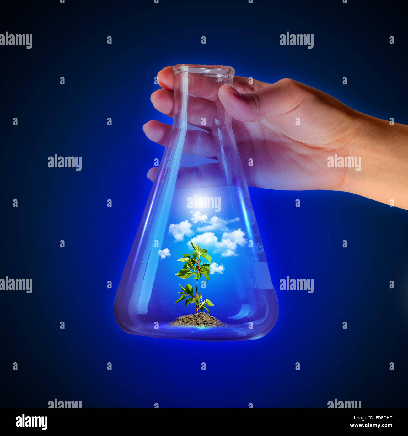 Close up image of human hand holding test tube Stock Photo - Alamy