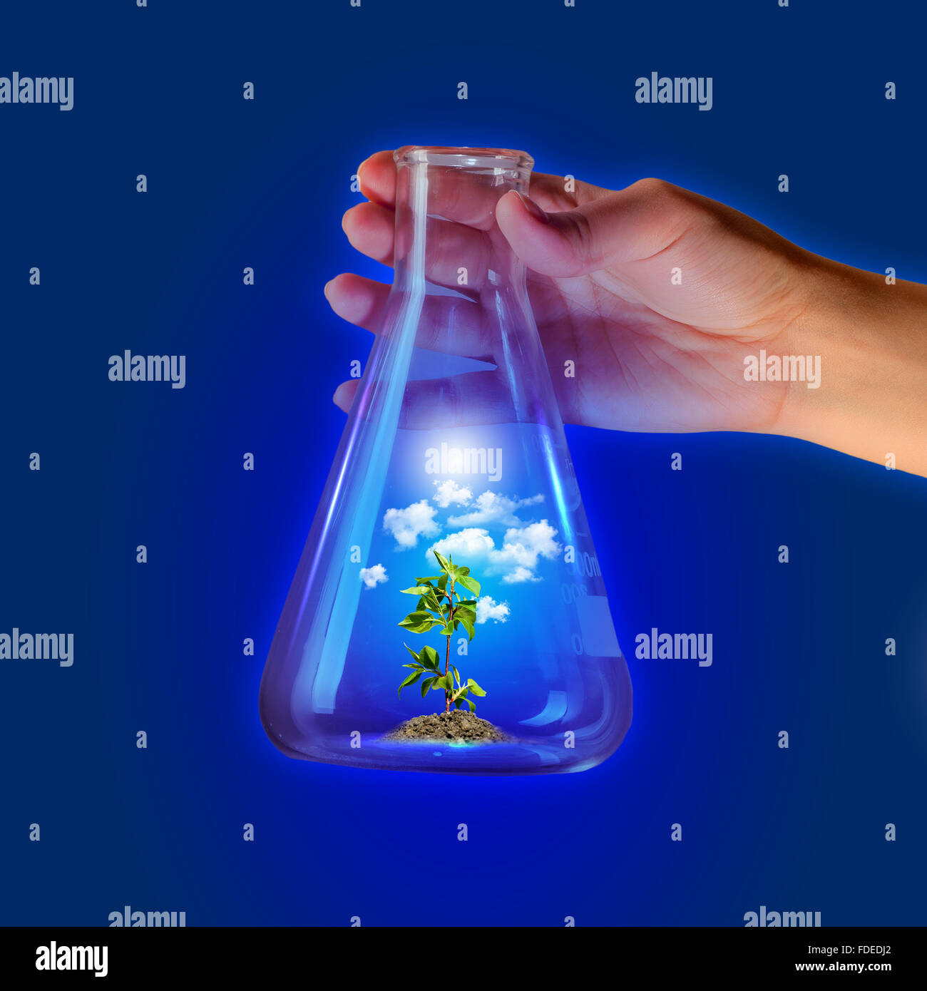 Close up image of human hand holding test tube Stock Photo - Alamy