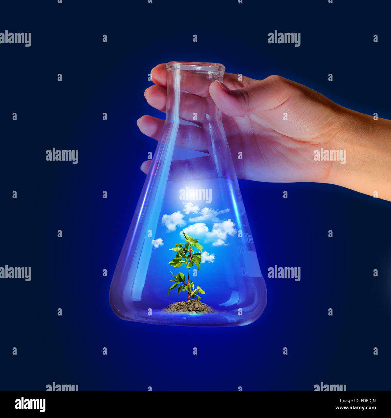 Close up image of human hand holding test tube Stock Photo - Alamy