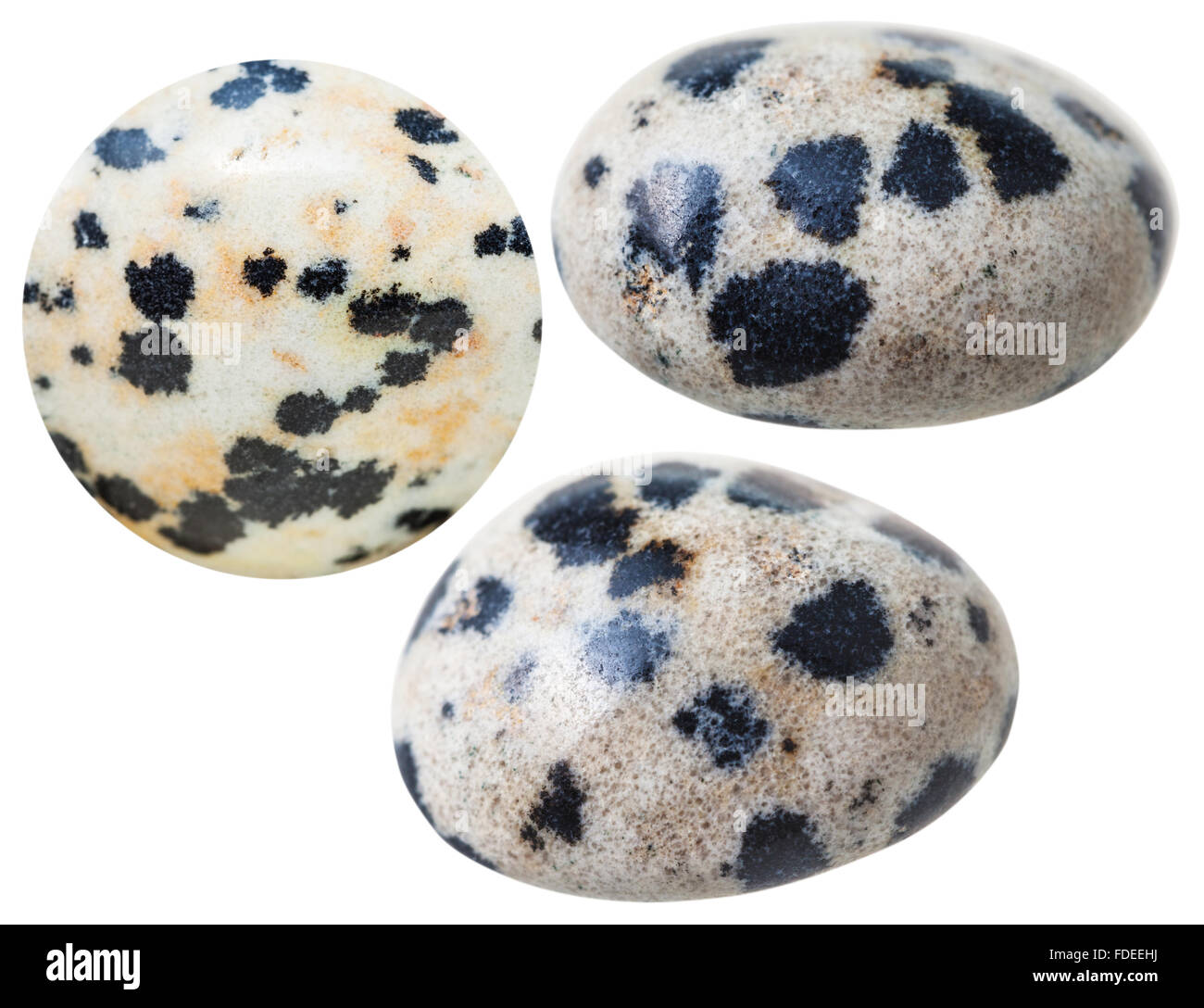 set of natural mineral gemstones - tumbled aplite (dalmatian jasper ...