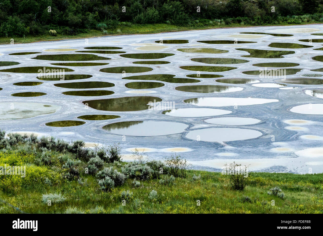 Spotted lake hi-res stock photography and images - Alamy