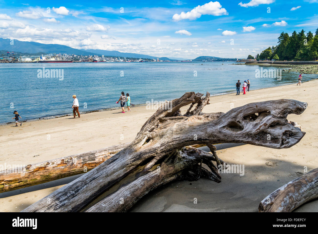 Logs on beach hi-res stock photography and images - Alamy