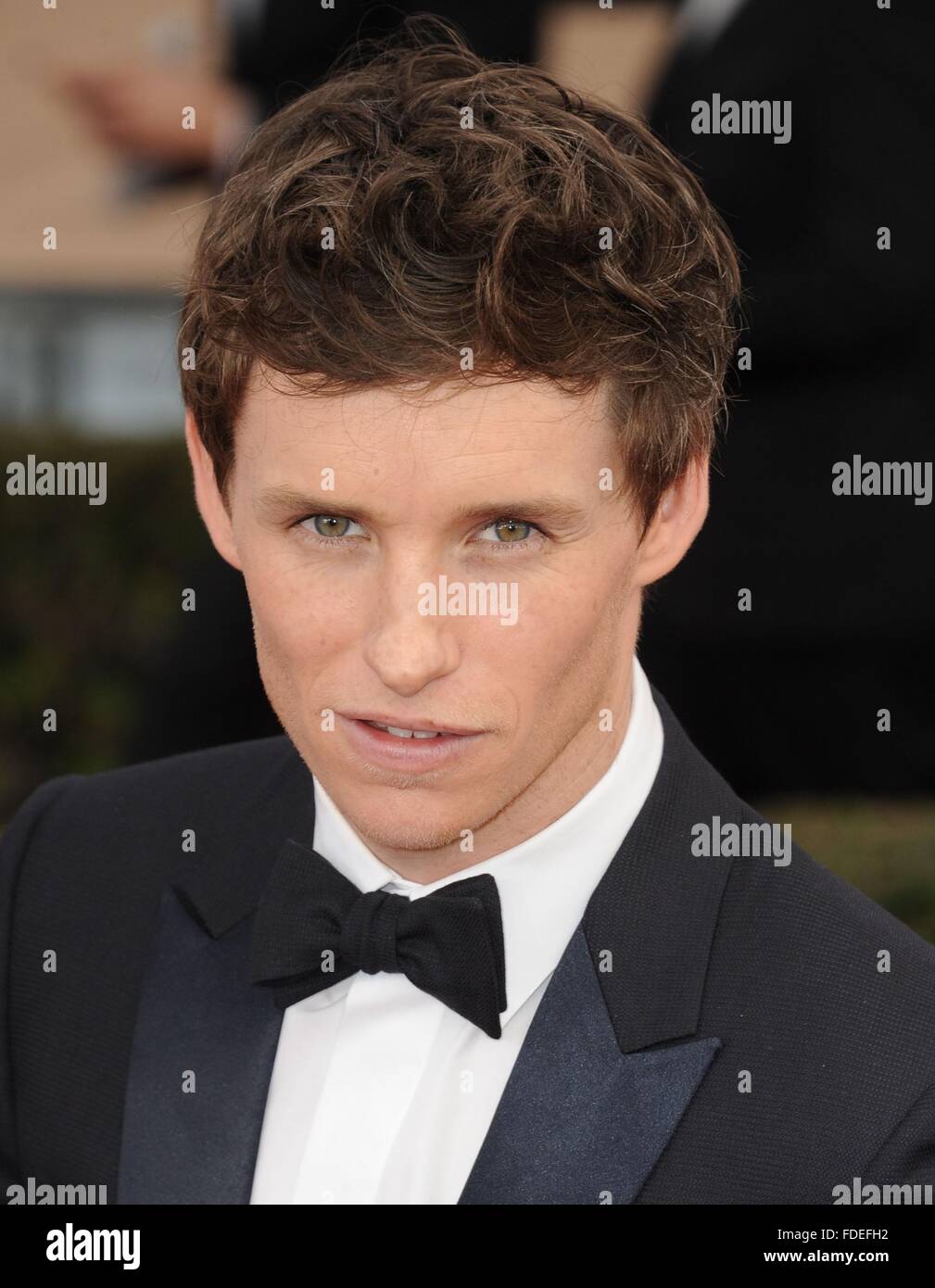 Los Angeles, CA, USA. 30th Jan, 2016. Eddie Redmayne at arrivals for ...
