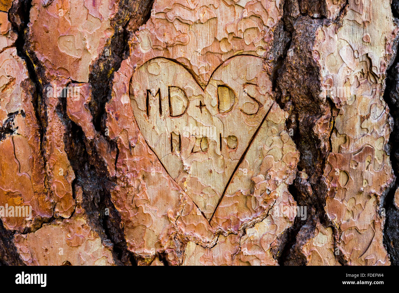 Initials Carved On Tree High Resolution Stock Photography and Images ...