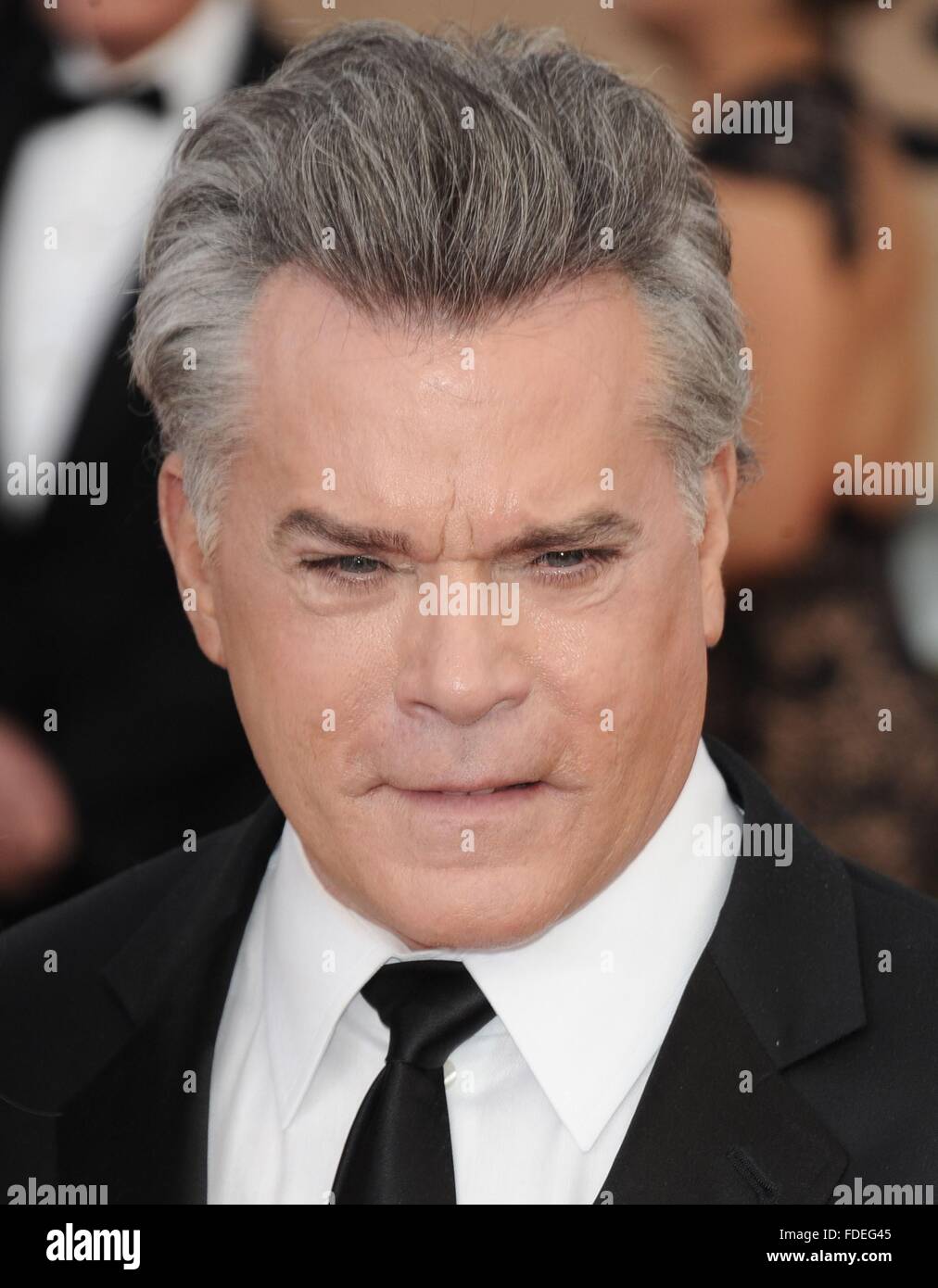 Ray Liotta at arrivals for 22nd Annual Screen Actors Guild Awards (SAG ...