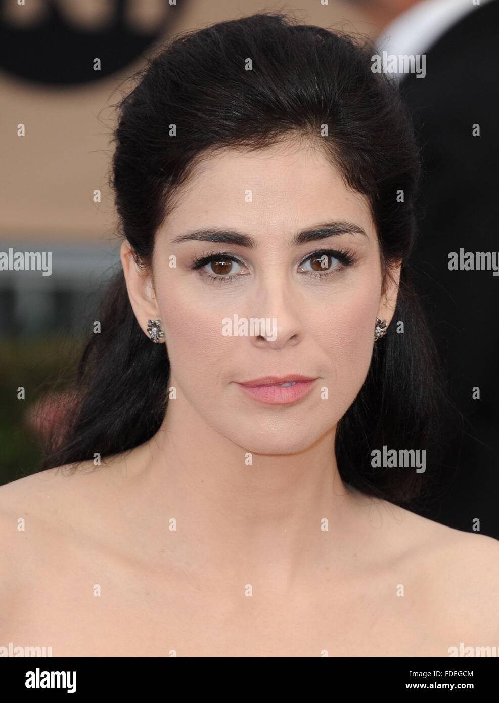 Los Angeles, CA, USA. 30th Jan, 2016. Sarah Silverman at arrivals for ...