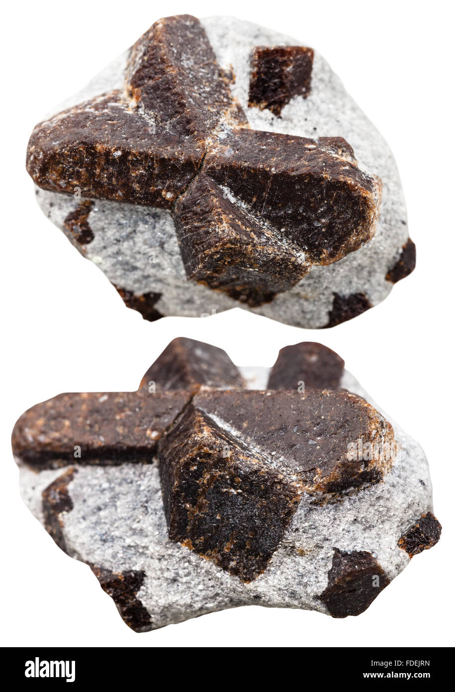 macro shooting of collection natural rock - two staurolite mineral ...
