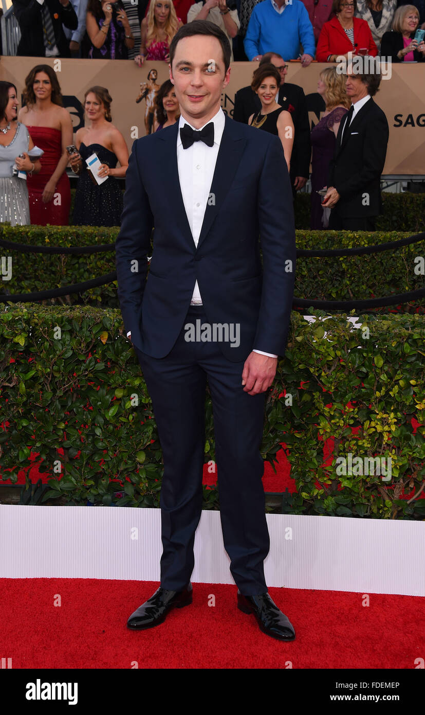 Los Angeles, California, USA. 31st Jan, 2016. Jim Parsons arrives for ...