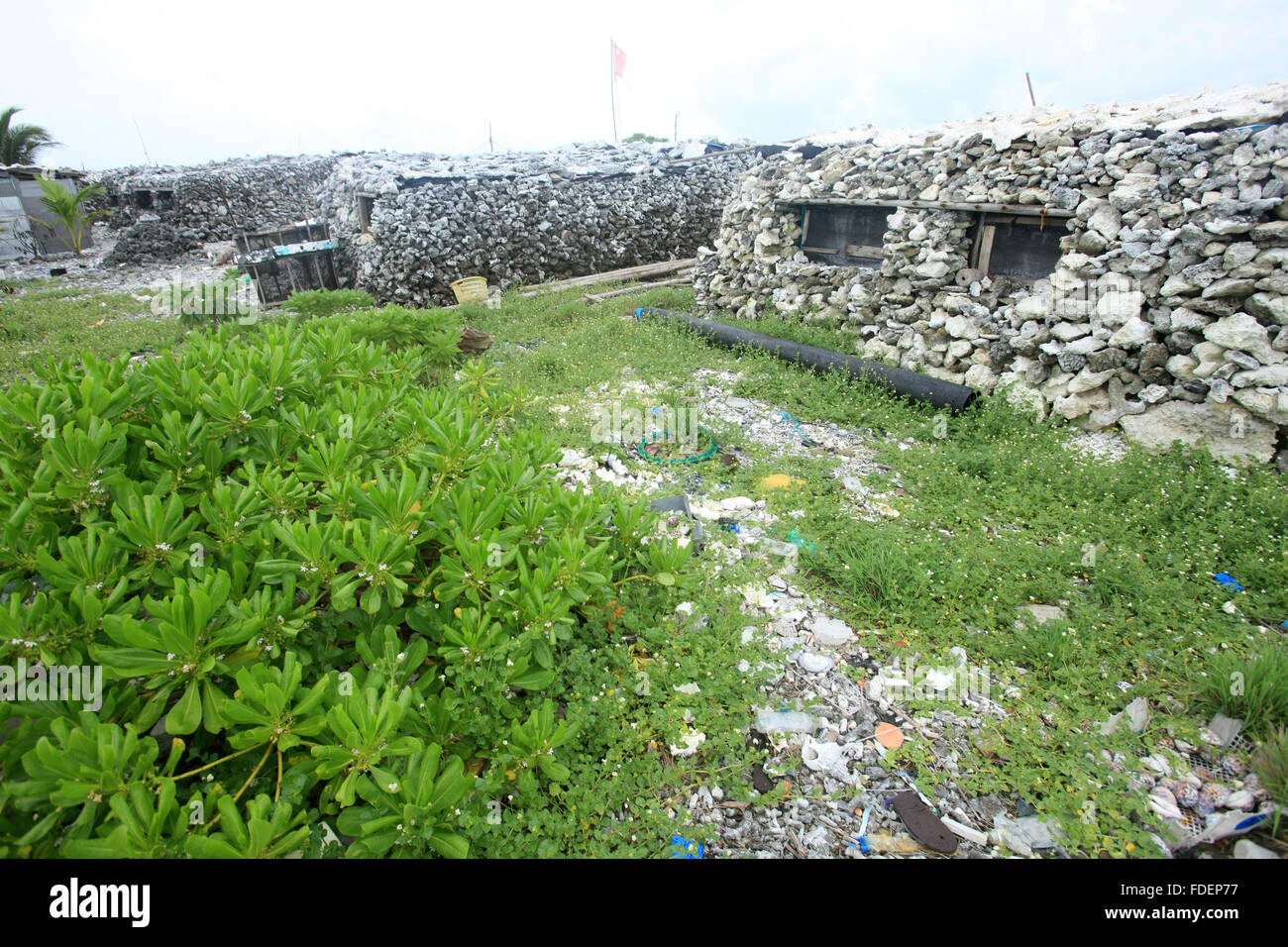 Yongle islands antelope reef Stock Photo - Alamy