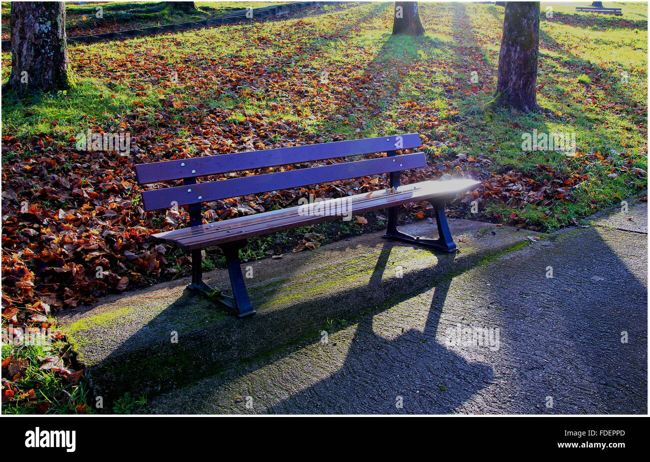 Beautiful fall season park bench hi-res stock photography and images ...