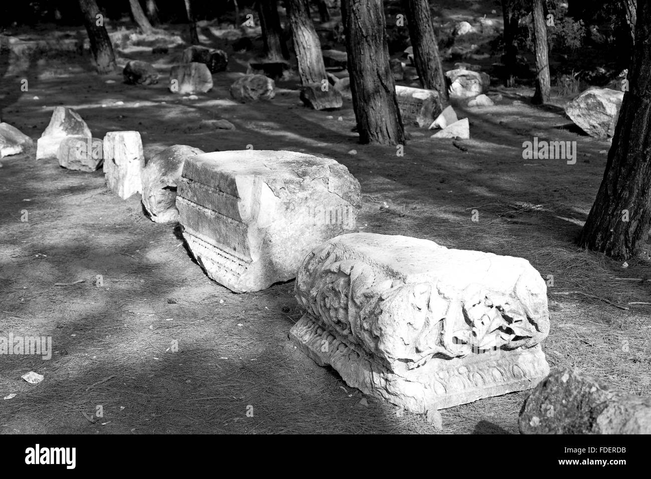 in phaselis temple turkey asia old ruined column and destroyed stone ...