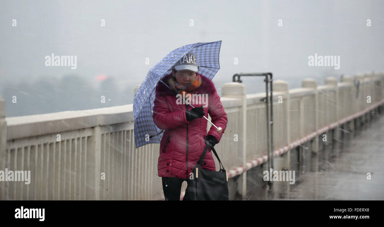 Changsha, China's Hunan Province. 31st Jan, 2016. A woman walks against ...