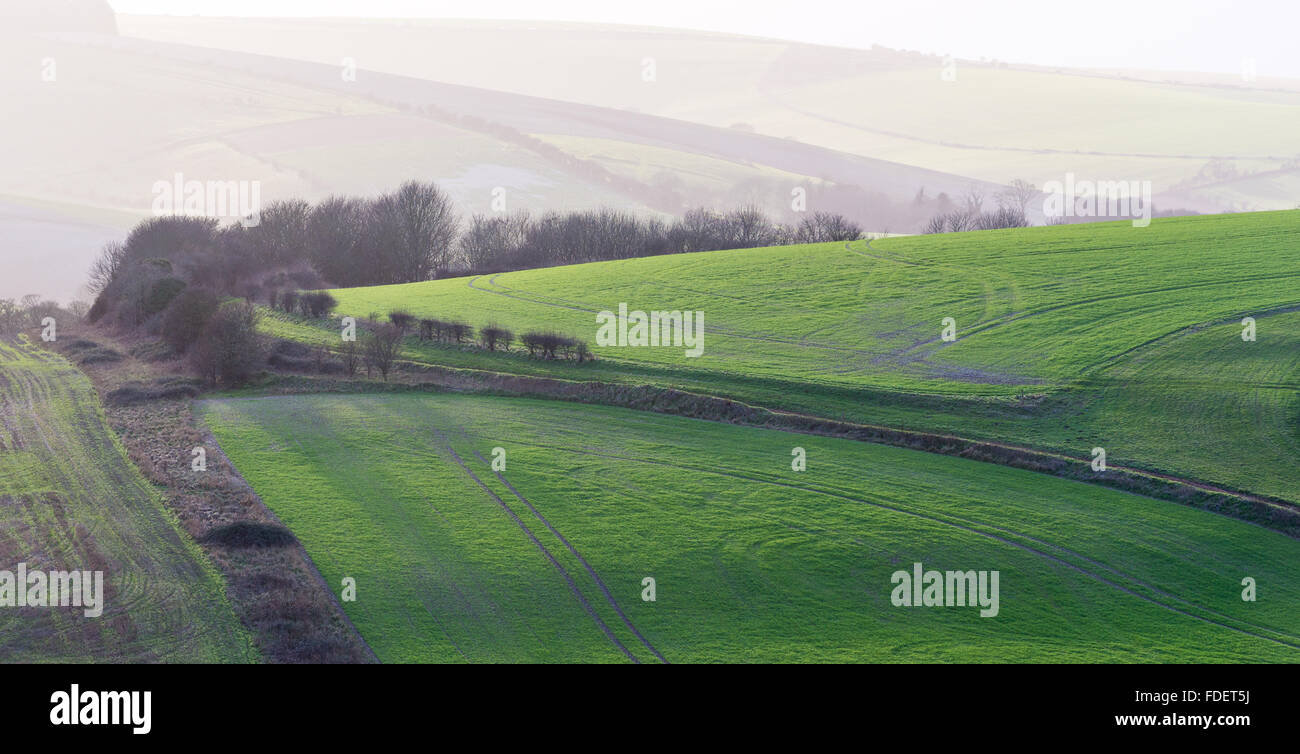 Houndean hi-res stock photography and images - Alamy