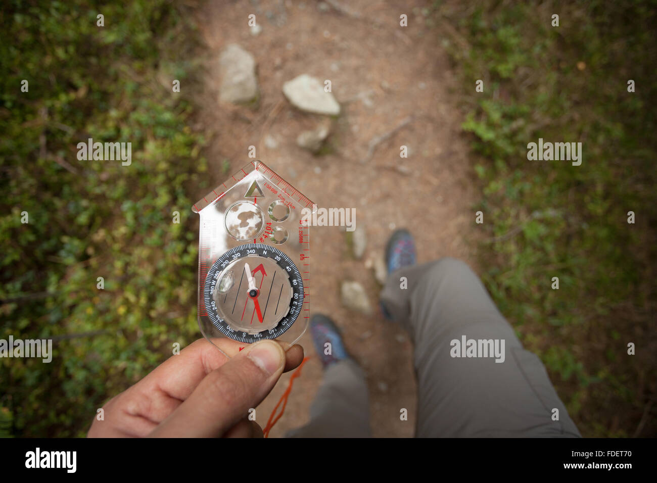finding the right position in the forest with a compass Stock Photo - Alamy