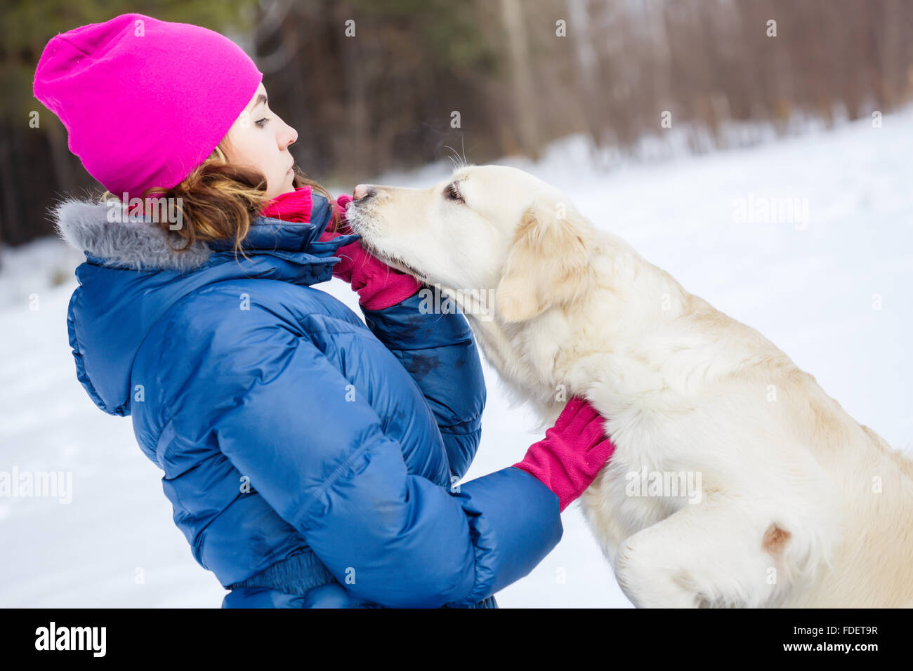 Girl with labrador dog on walk in winter park Stock Photo - Alamy