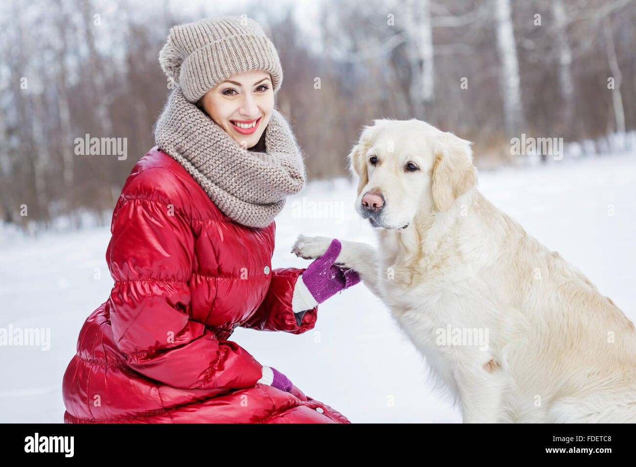Girl with labrador dog on walk in winter park Stock Photo - Alamy