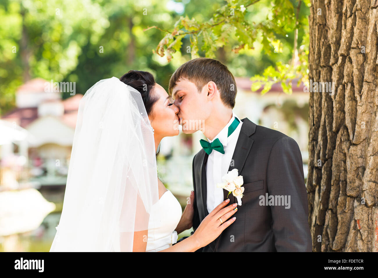 Wedding, Beautiful Romantic Bride with the Groom Kissing and Embracing ...