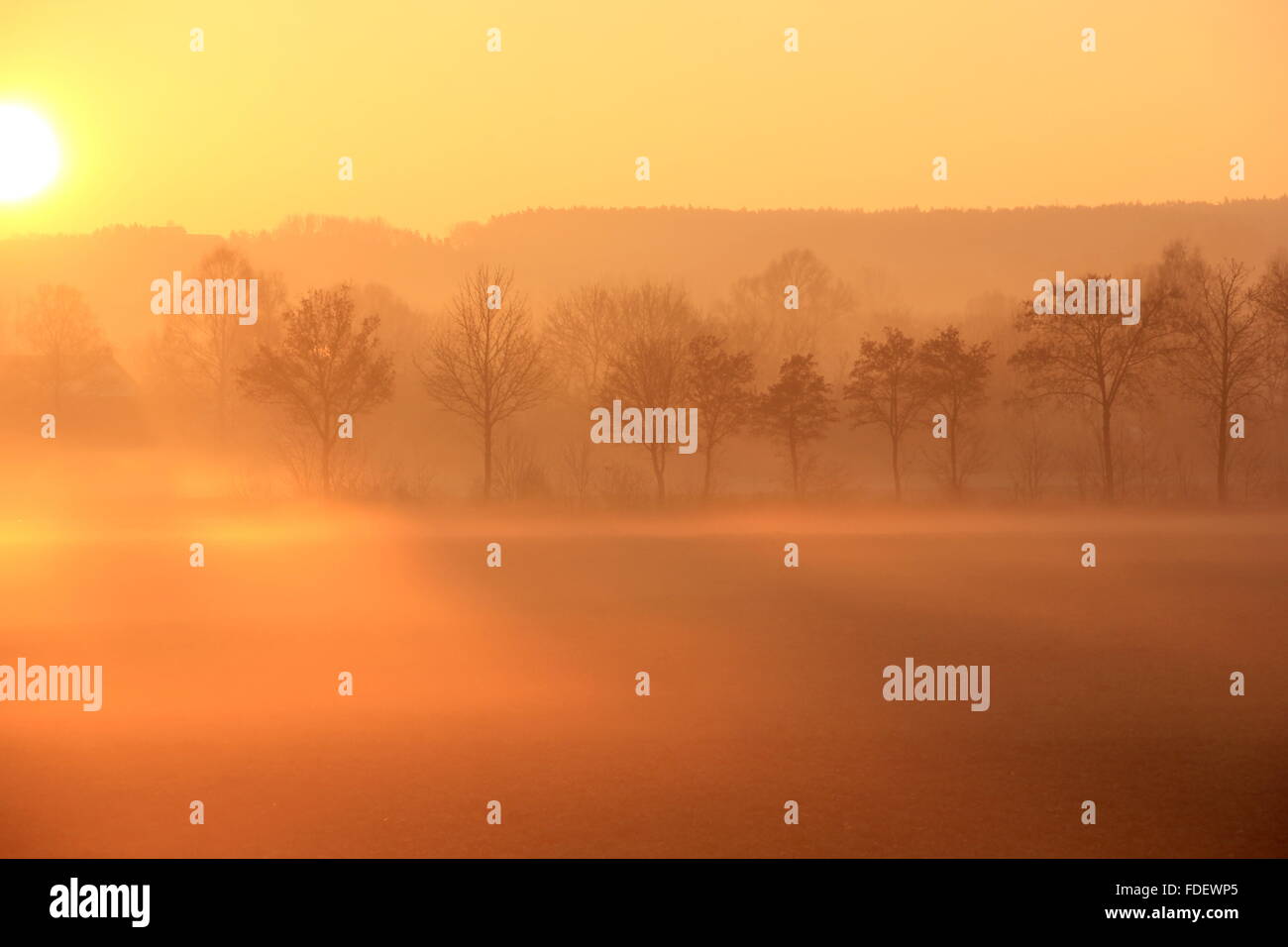 Morning sun landscape hi-res stock photography and images - Alamy