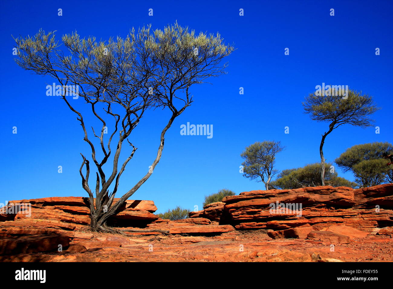 Australian colors hi-res stock photography and images - Alamy
