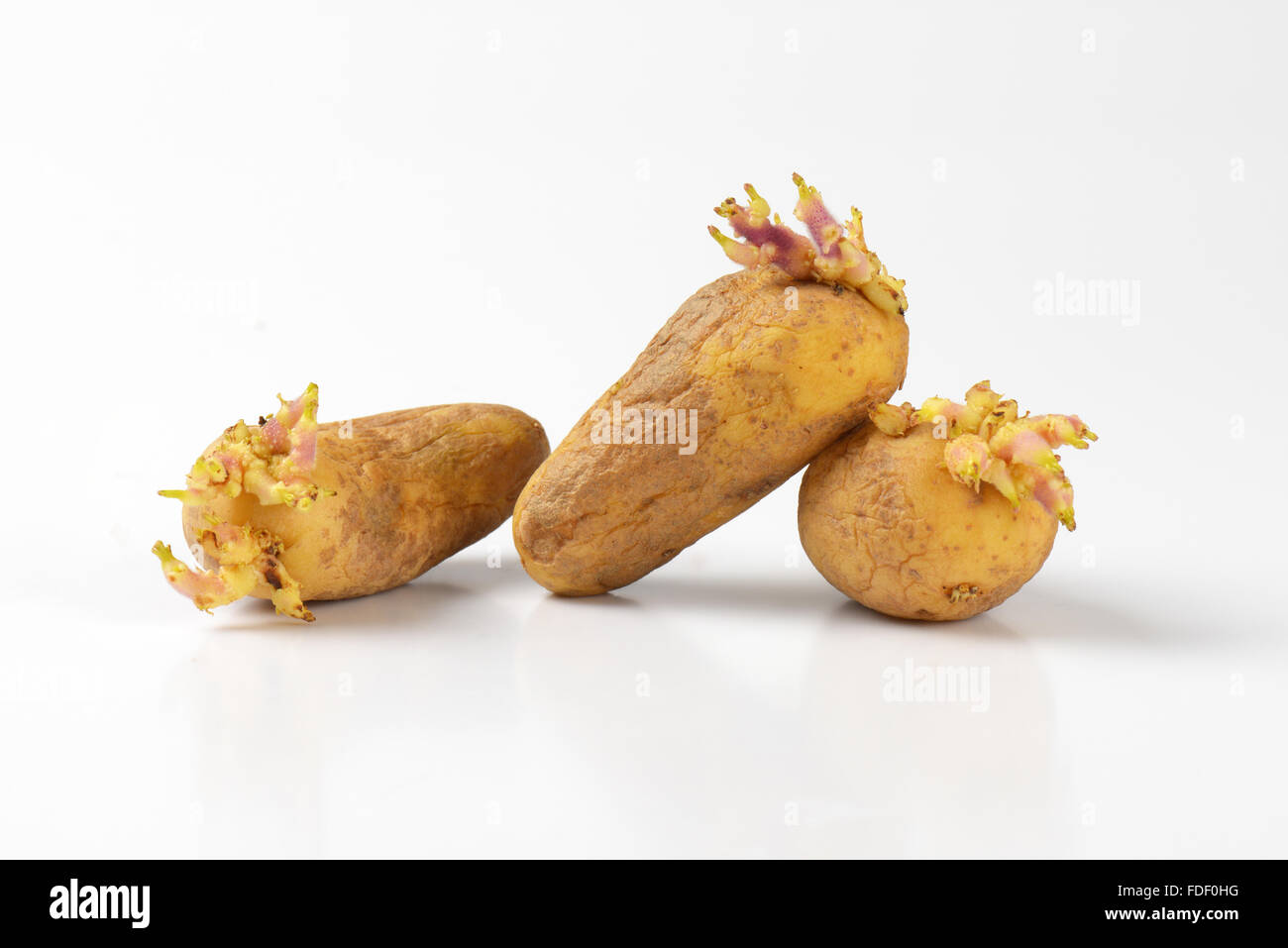 three old sprouting potatoes on white background Stock Photo - Alamy