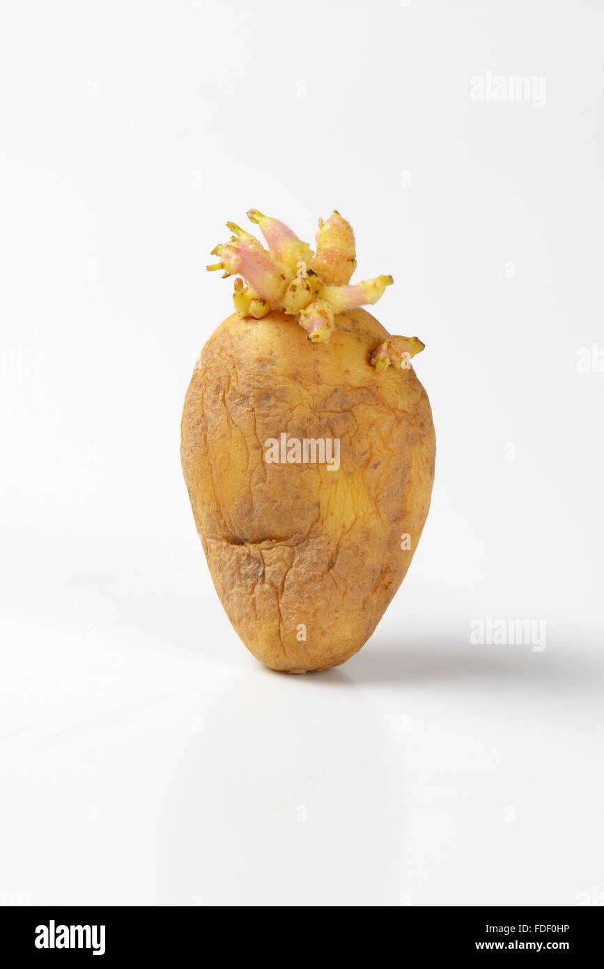 Rough potato hi-res stock photography and images - Alamy