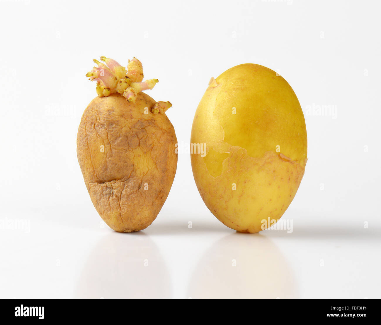 young and old sprouting potatoes on white background Stock Photo - Alamy