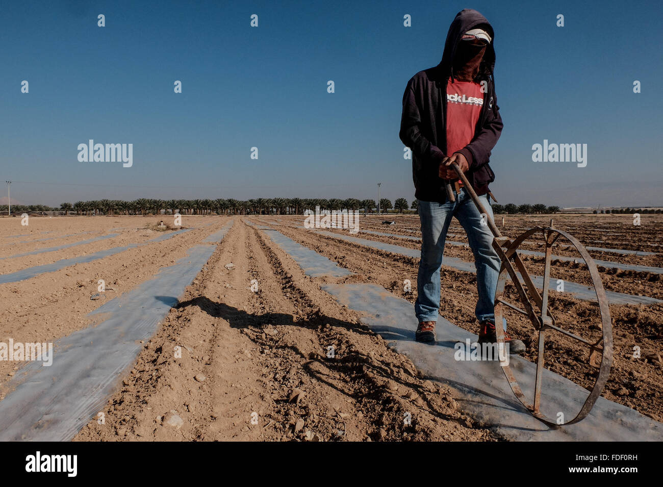 Almog hi-res stock photography and images - Alamy