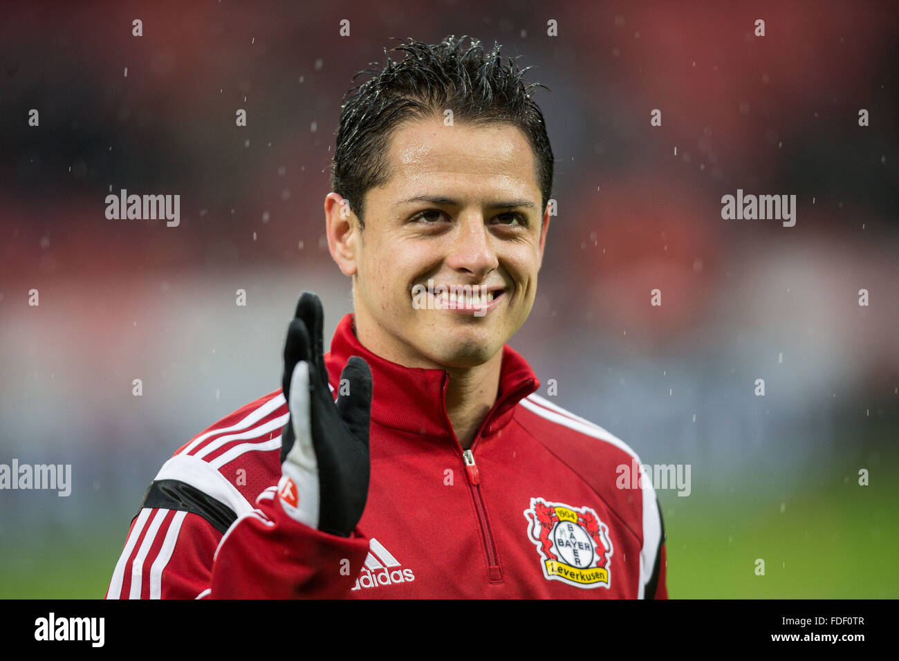 Leverkusen, Germany. 30th January, 2016. Leverkusen's Javier Hernandez ...