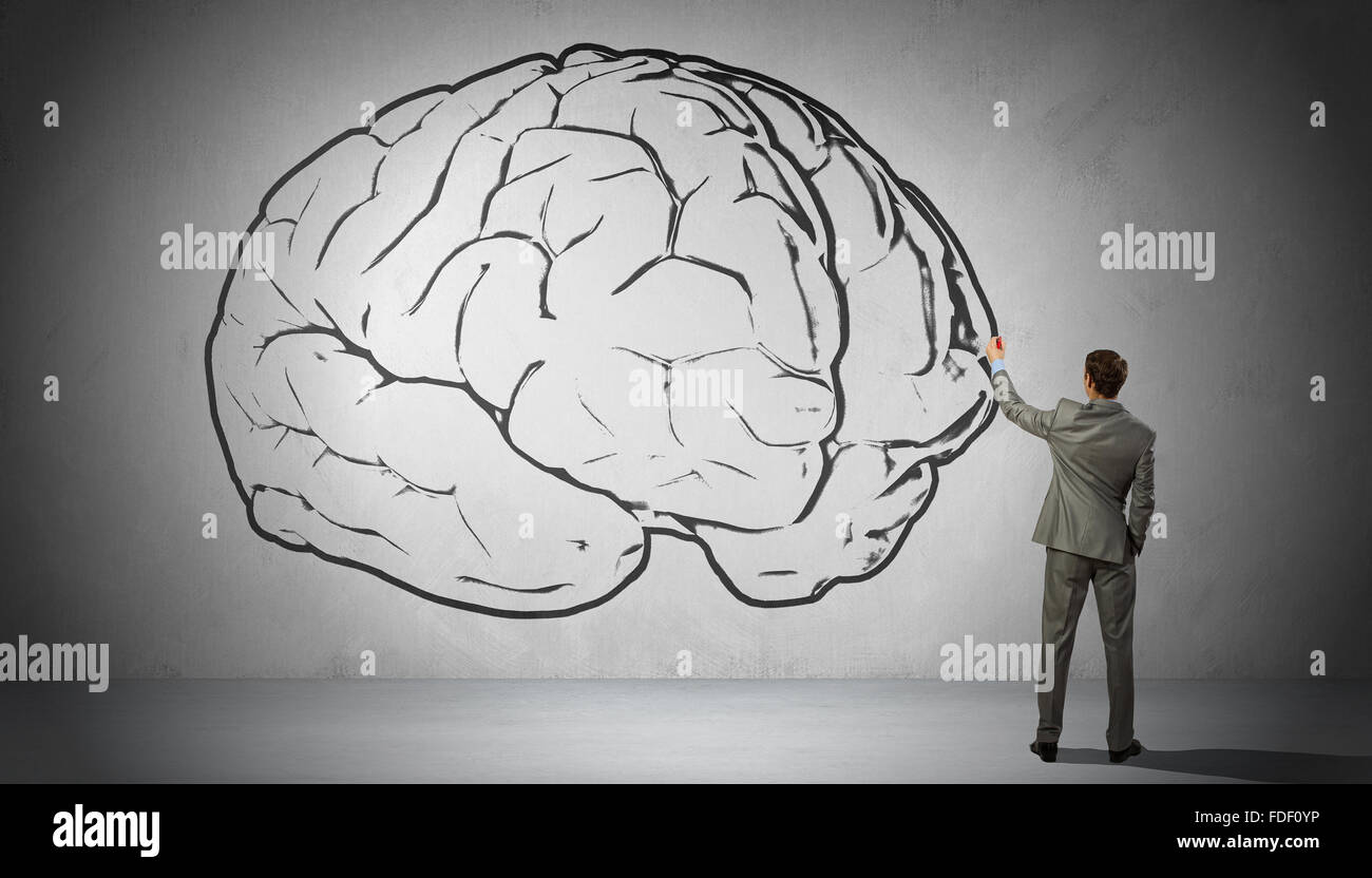Back view of businessman drawing human brain on wall Stock Photo - Alamy