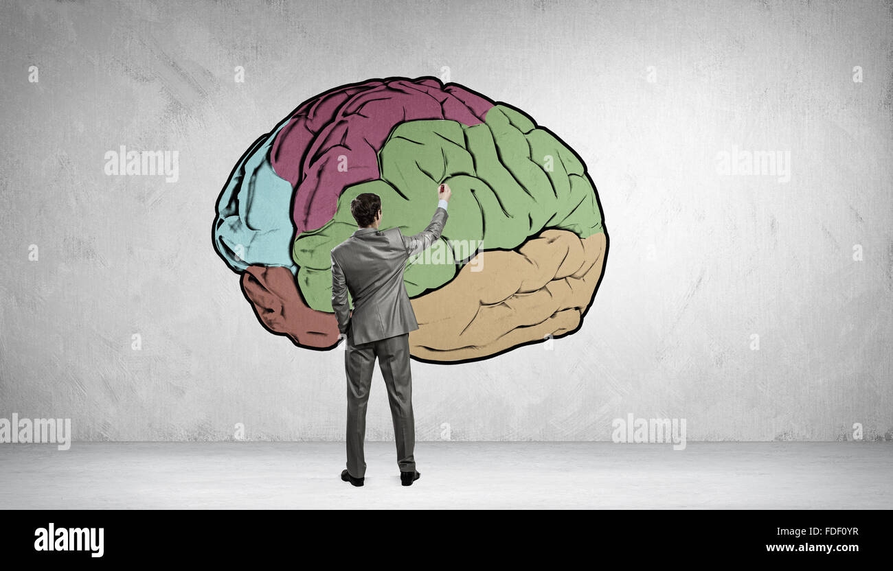 Back view of businessman drawing human brain on wall Stock Photo - Alamy
