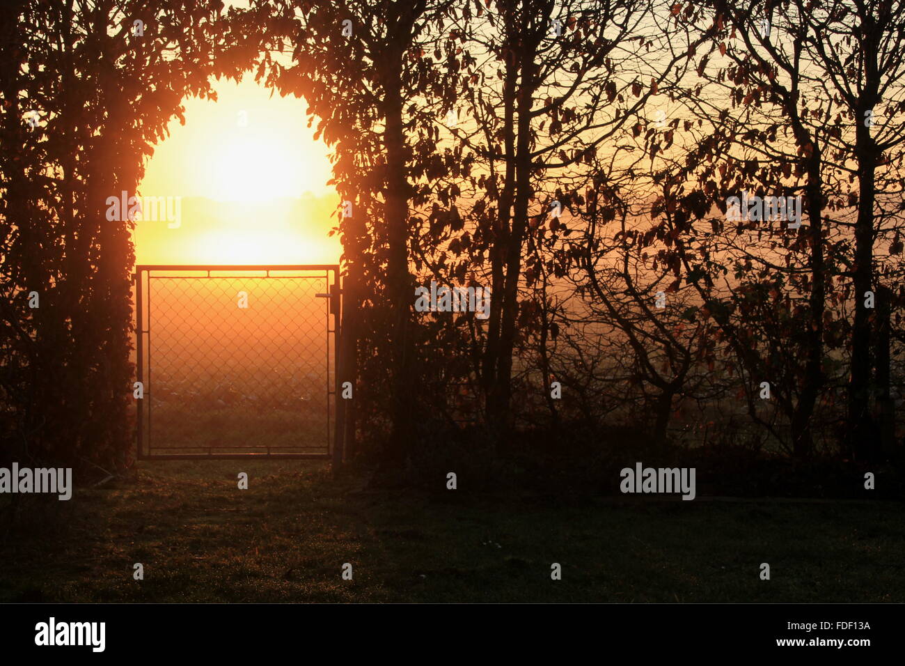 sun gate in the garden Stock Photo - Alamy