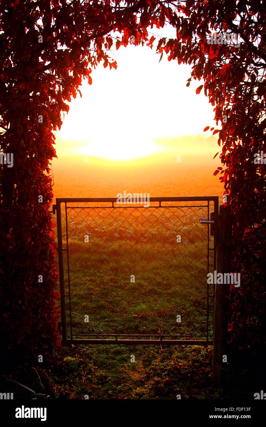 sun gate in the garden Stock Photo - Alamy