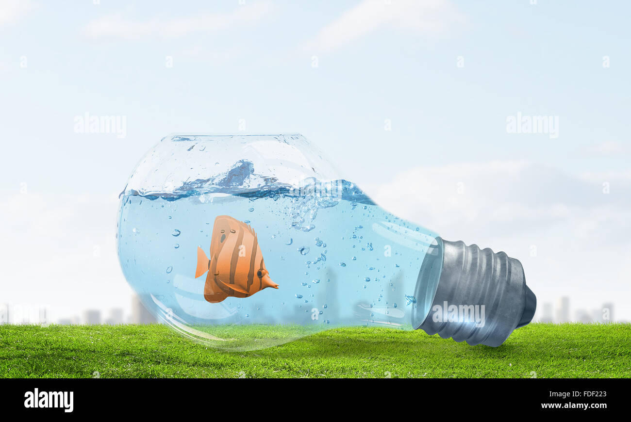 Exotic fish in water inside electric light bulb Stock Photo - Alamy