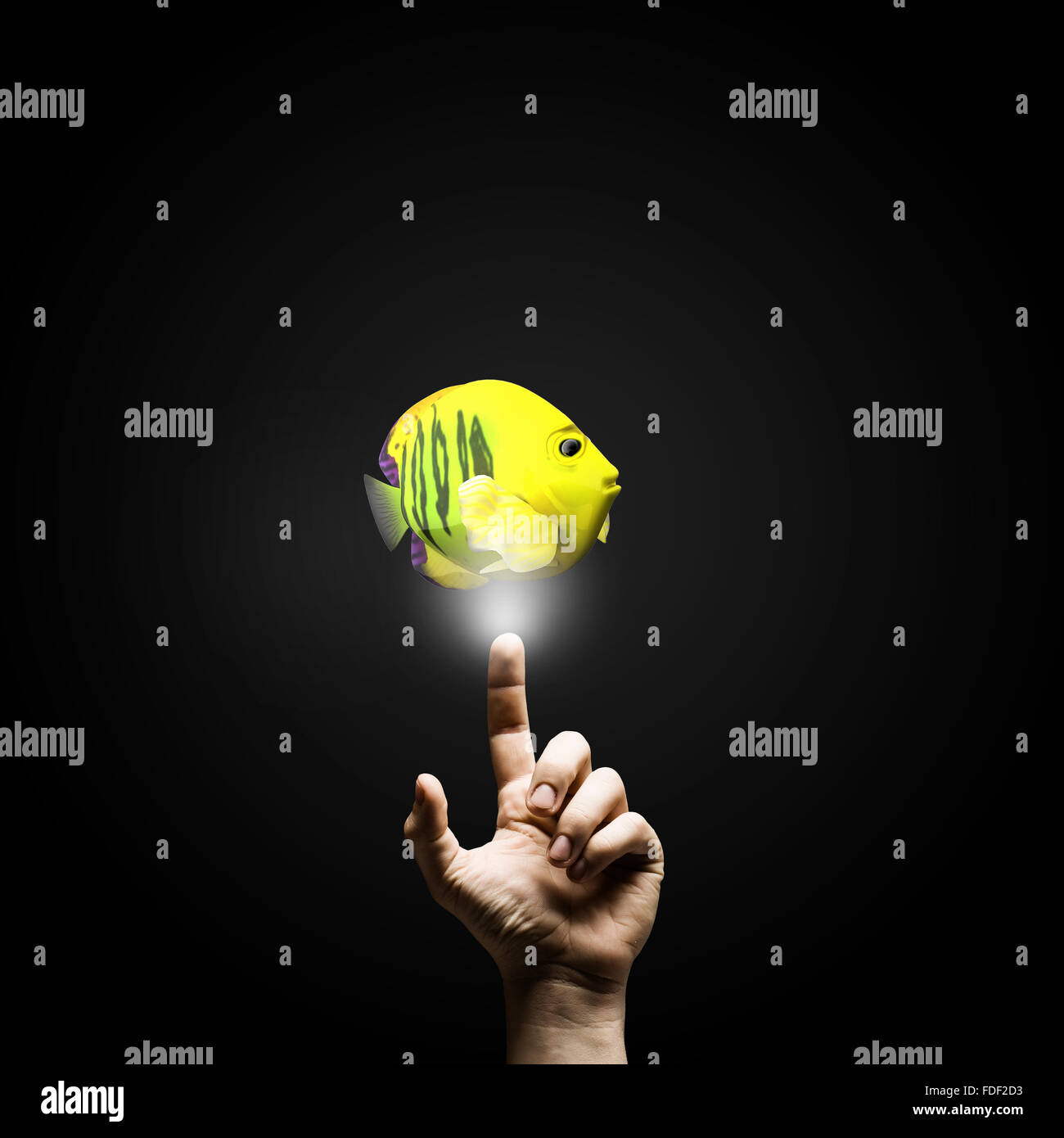 Male hand pointing with finger at big exotic fish. Success in business ...