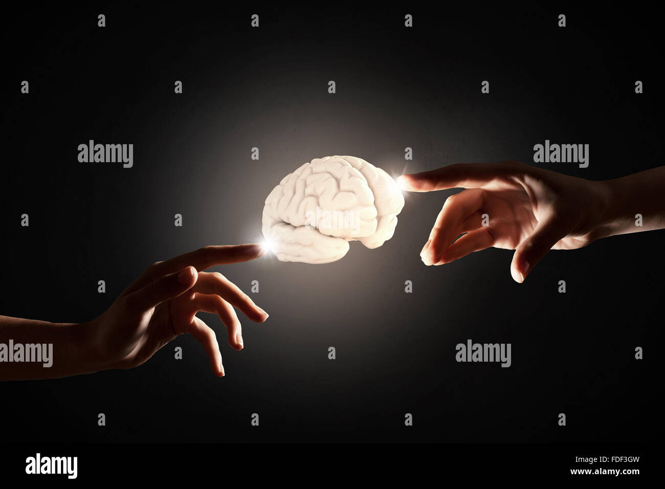 Human hands touching brain hi-res stock photography and images - Alamy