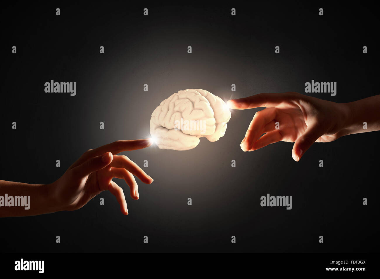 Human hands touching brain hi-res stock photography and images - Alamy