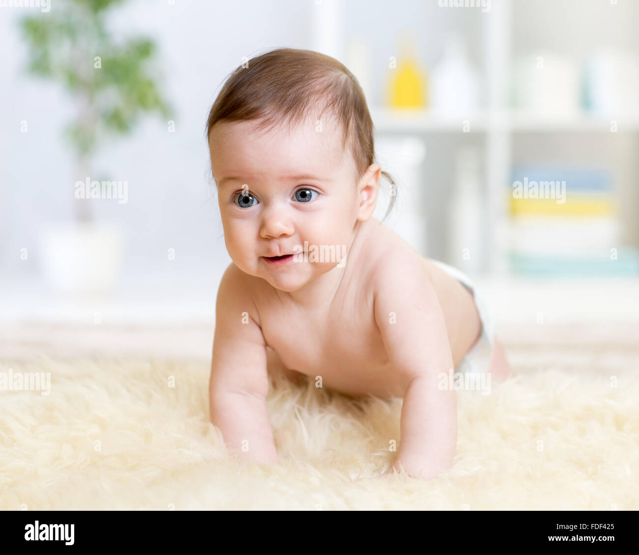 Cute smart baby hi-res stock photography and images - Alamy